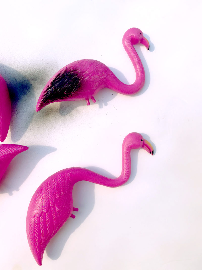 Spooky Glam Decor for the home » Glammed Events